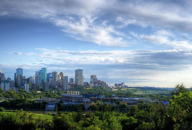 De nouveaux concepts de foret urbaine émergent...ARBRE PATRIMOINE ...